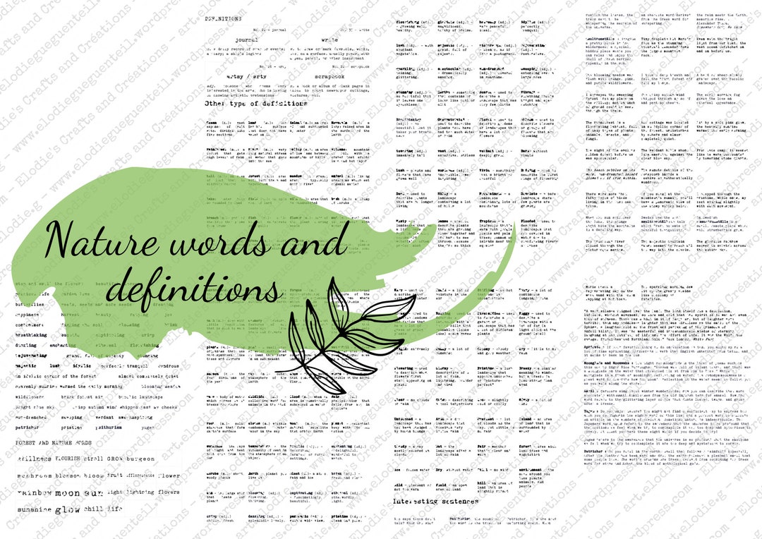 7 Pages of Interesting Nature Words and Definitions - Printable ...