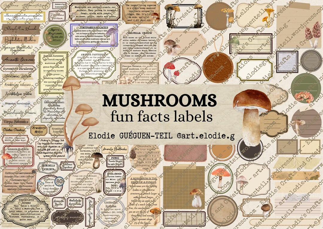 Mushroom Fun Facts Labels, Fussy Cut Scrapbook Ephemera (digital ...