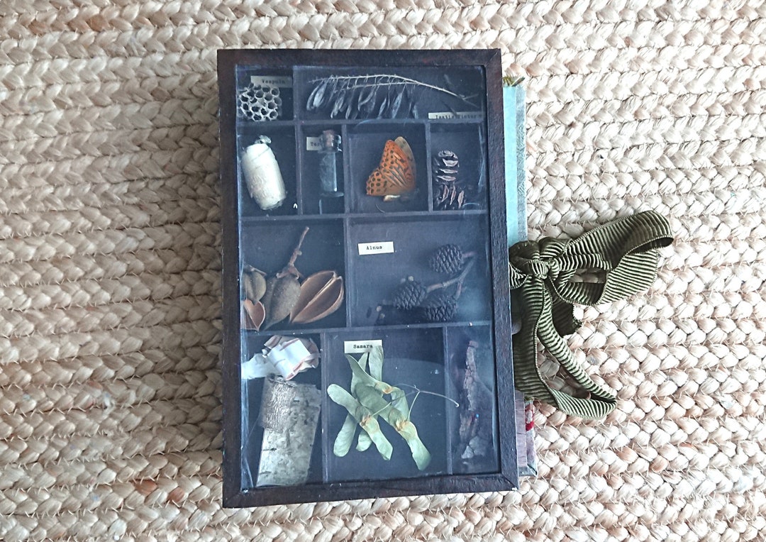 Botanist Lapbook Junk Journal With a Bow - Handmade Notebook for Nature ...