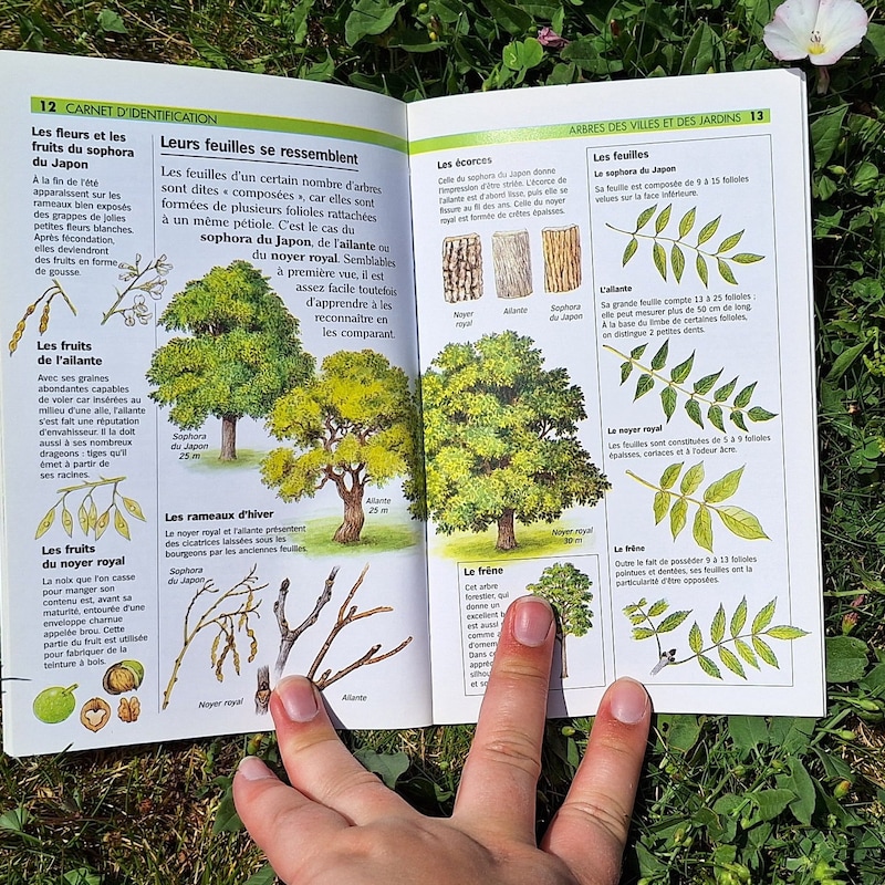 ElodieCraftnCreation - Etsy