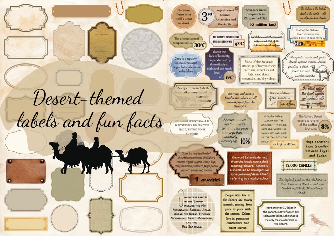 Desert-themed Labels With Fun Facts About the Desert for Junk ...