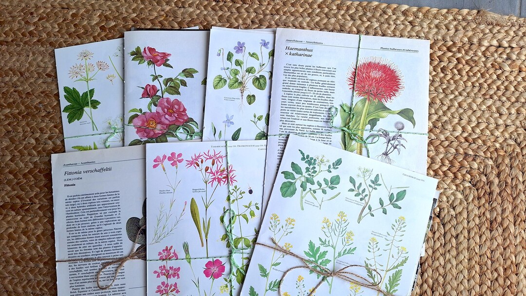 FLOWERS 100G 40 Bookpages Kit Botanical Ephemera Pack for Scrapbooking ...