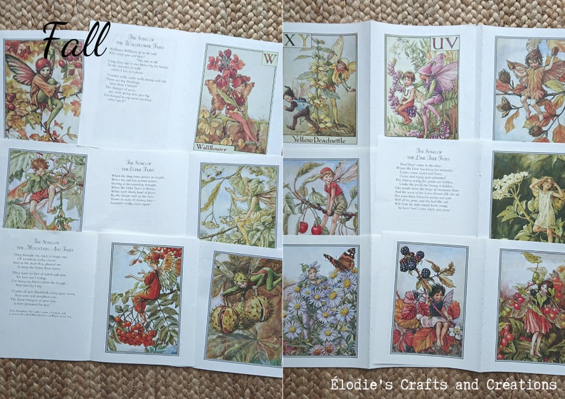 Flower Fairies Vintage Book Pages – Cicely Mary Barker Ephemera - Etsy