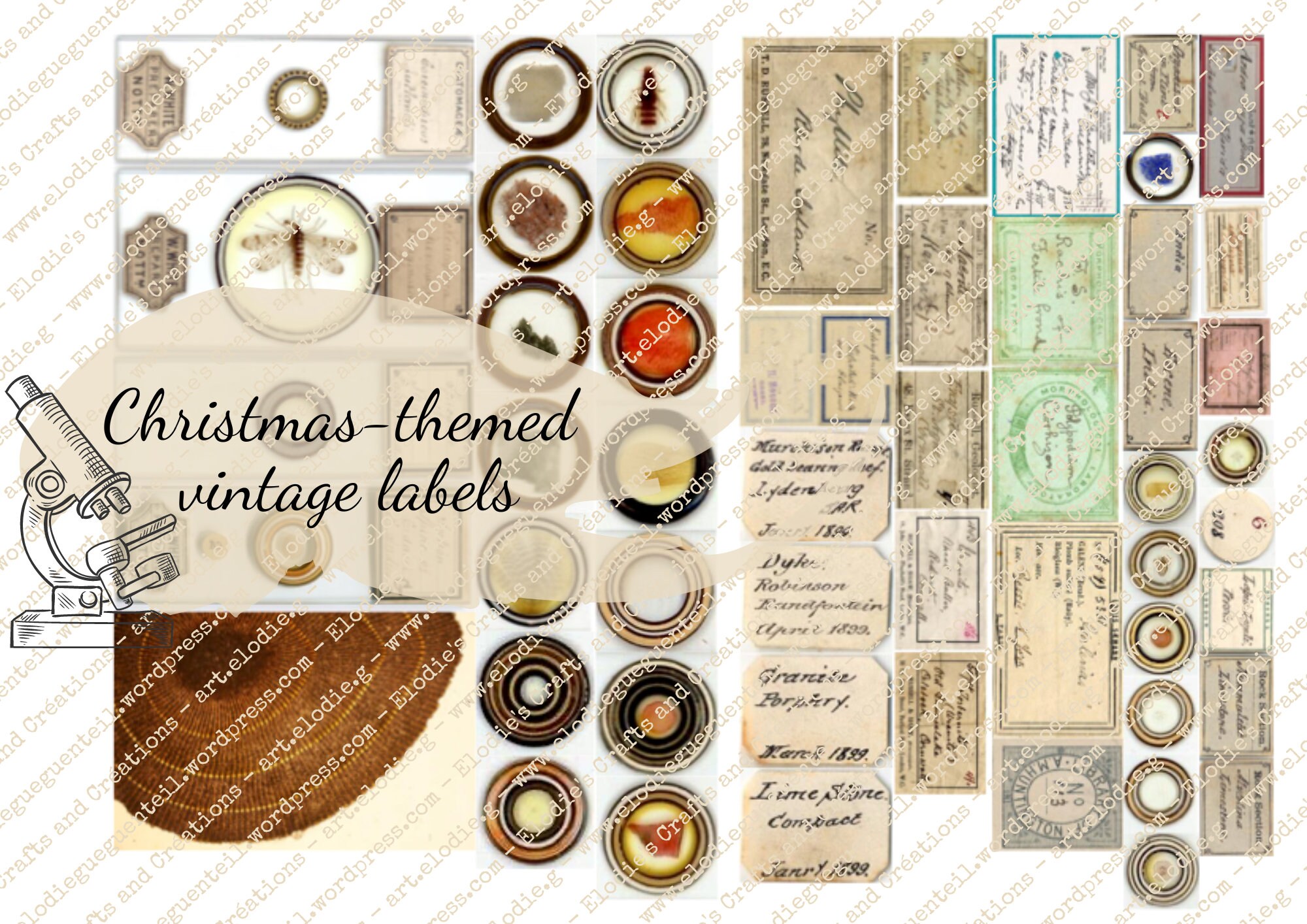 Vintage Science Labels 2 Pages of Fussy Cut Labels Printable / Digital ...