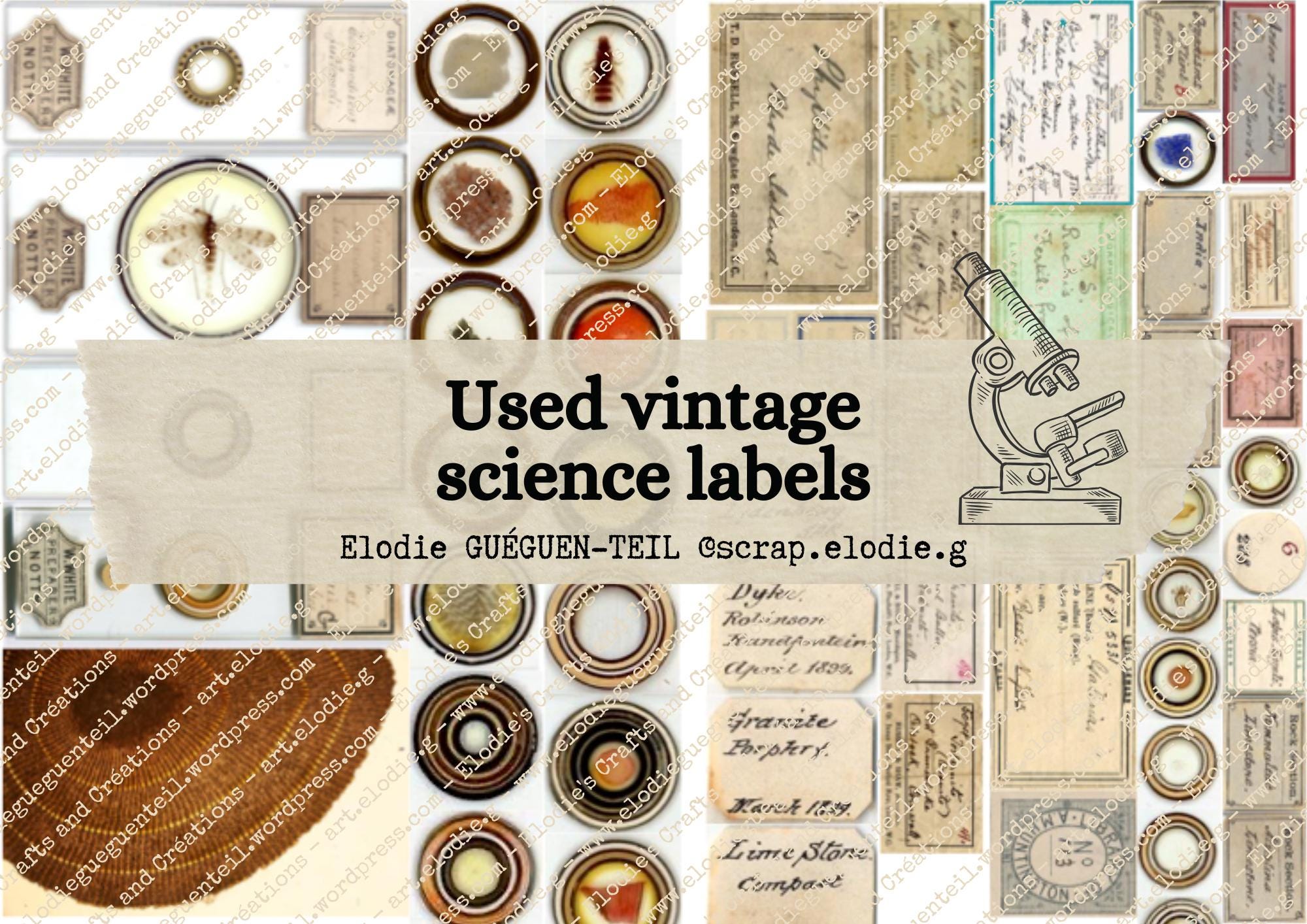 Vintage Science Labels 2 Pages of Fussy Cut Labels - Printable ...