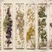 Floral Bookmarks (4) - Etsy