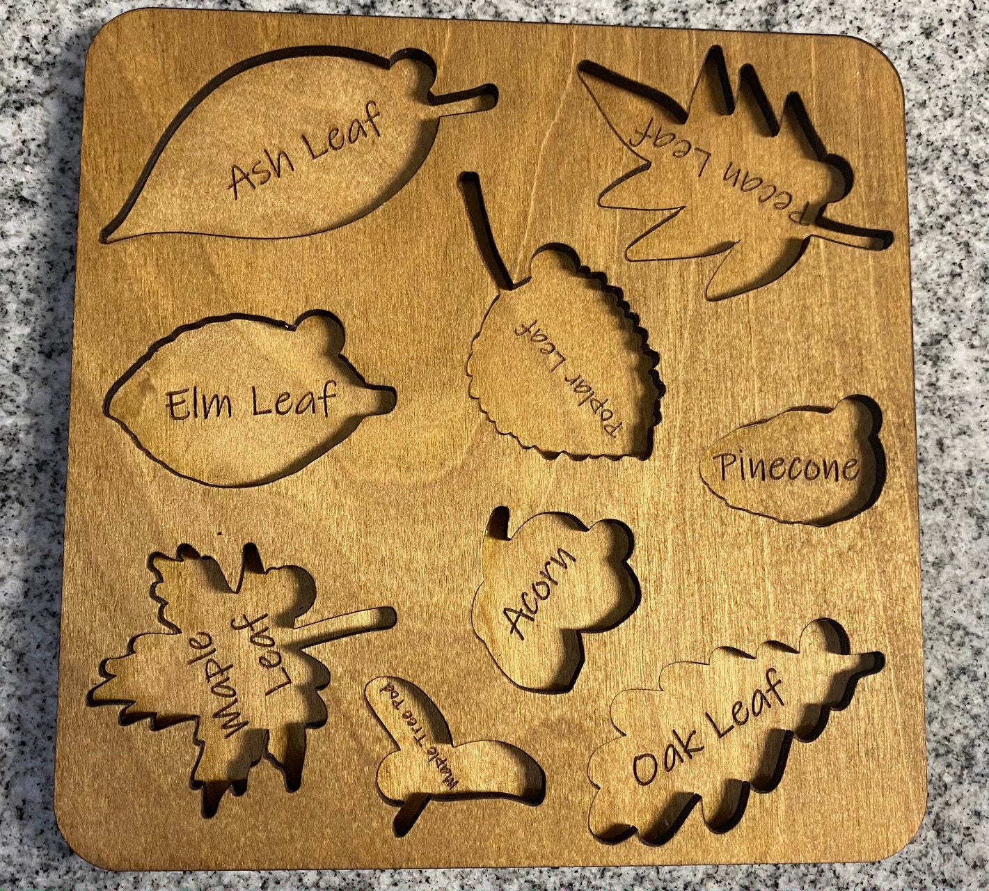 Children's Leaf Montessori Identification Puzzle - Etsy