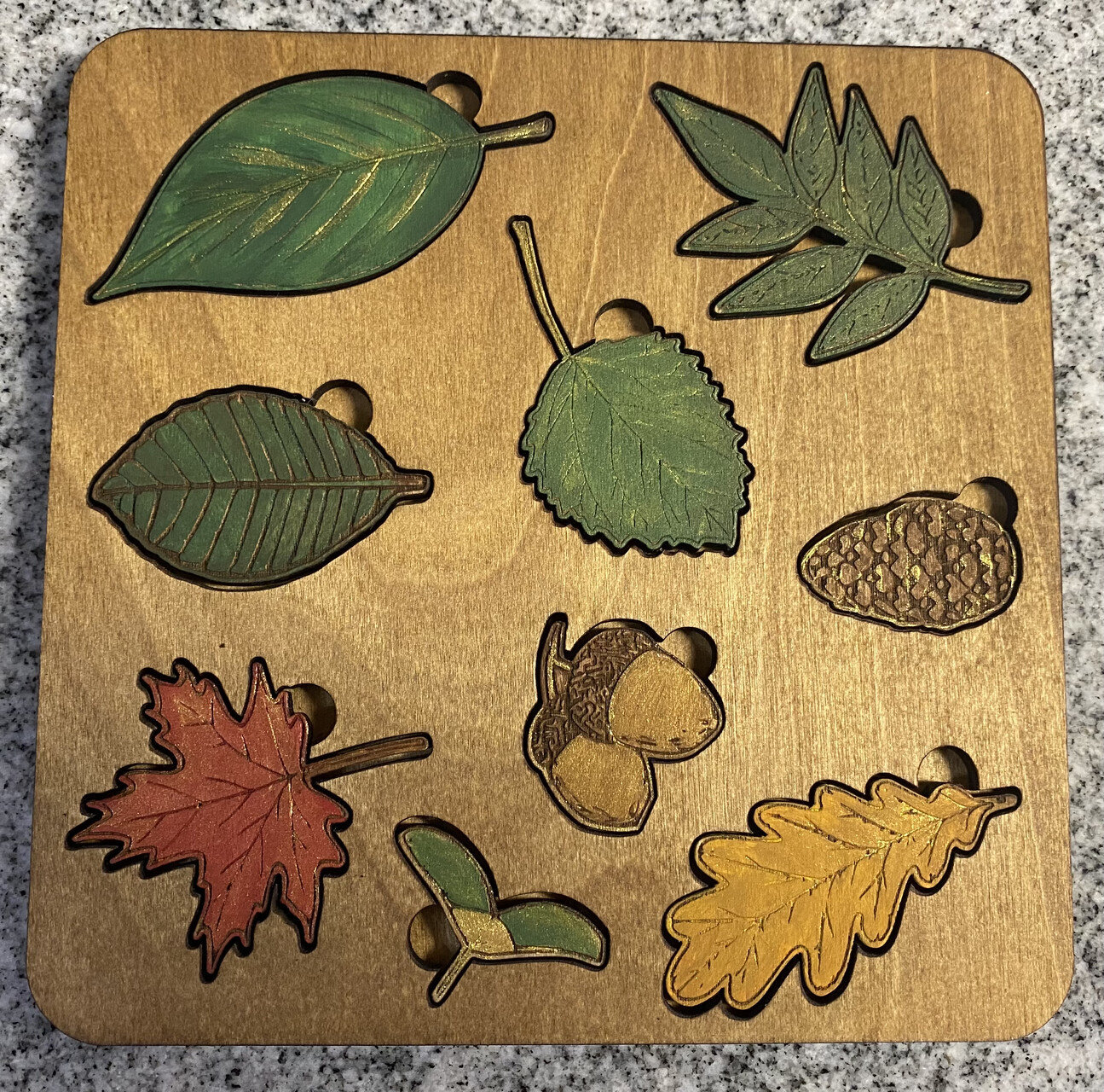 Children's Leaf Montessori Identification Puzzle | Etsy
