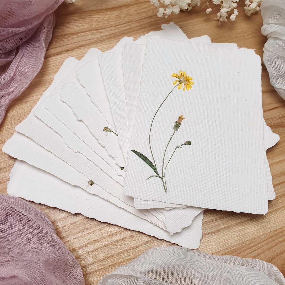 Handmade Paper / Cards With Deckle Edge and Pressed Meadow Flowers - Etsy