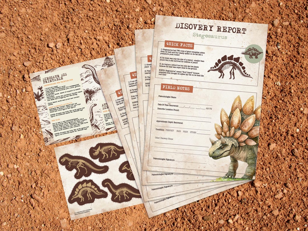 Dinosaur Fossil Excavation Kit | Kids Outdoor Science Activity ...