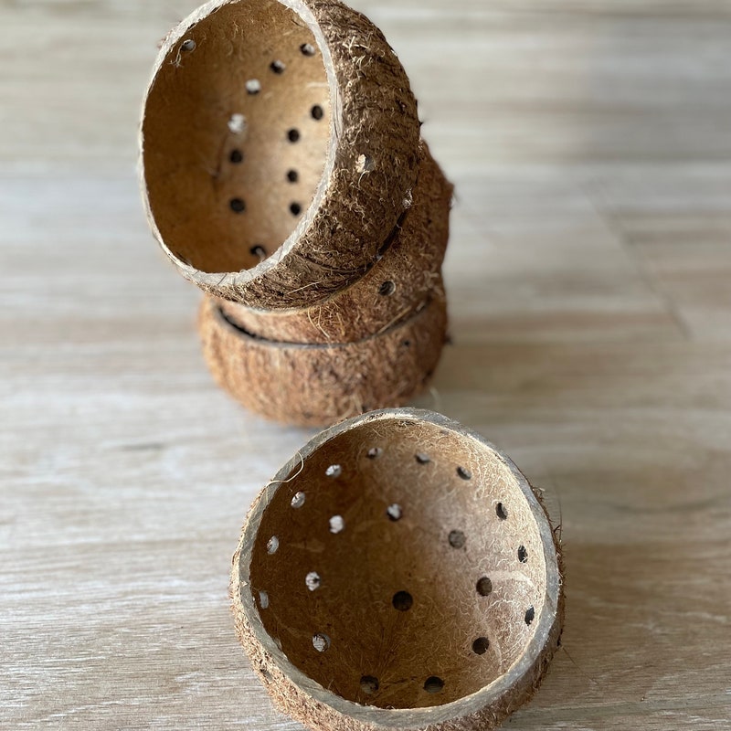 Coconut Shell - Etsy