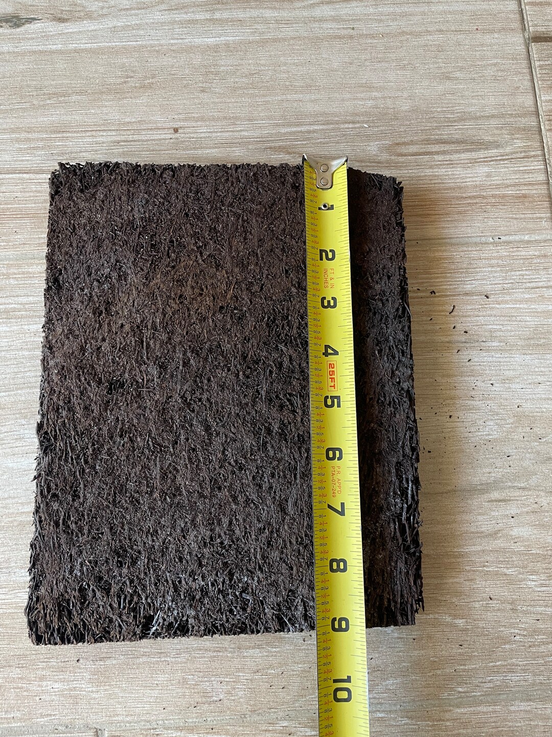 Tree Fern Plaque Mount for Orchids, Aroids, Staghorn Ferns 7x9 - Etsy