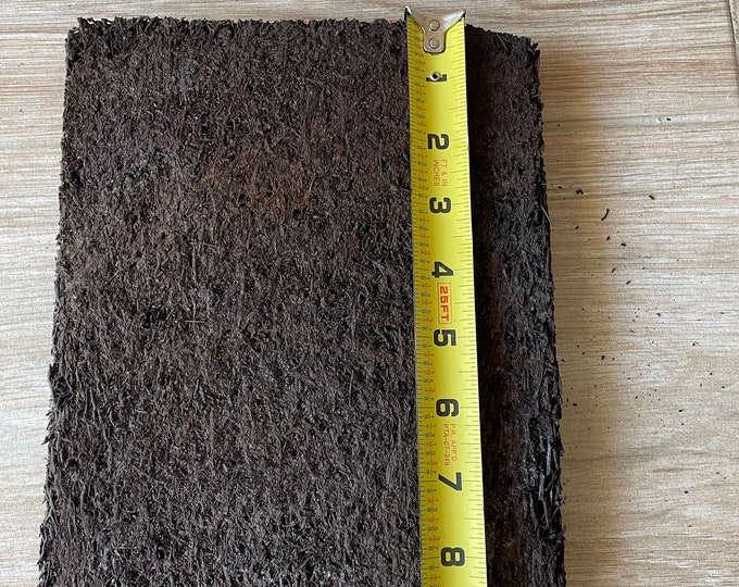 Tree Fern Plaque Mount for Orchids, Aroids, Staghorn Ferns 7x9” - Etsy