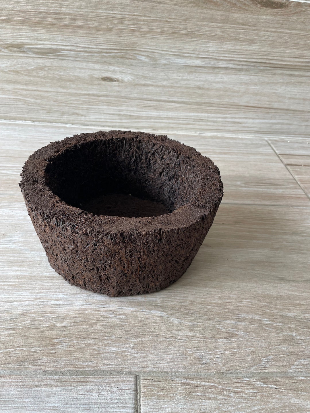 Tree Fern Pot for Orchids, Aroids and Other Epiphytes 6” Pot - Etsy