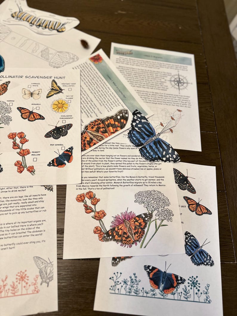 Butterflies Unit Study: Heart Spark Homeschool - Etsy
