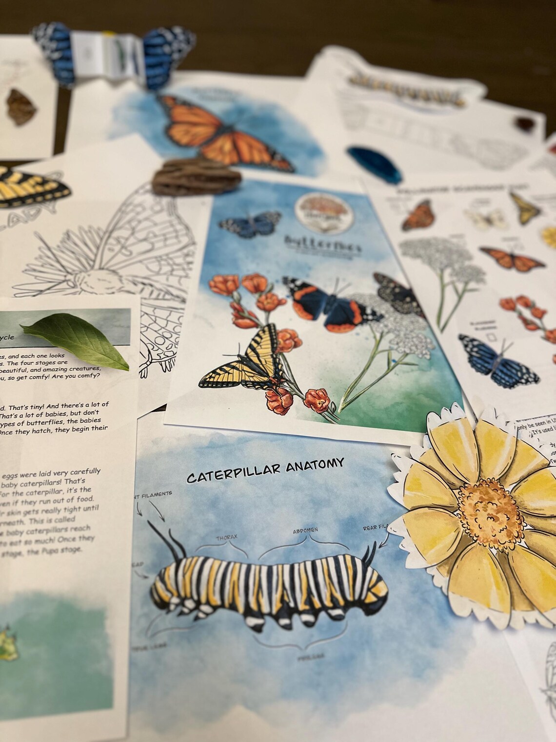Butterflies Unit Study: Heart Spark Homeschool - Etsy