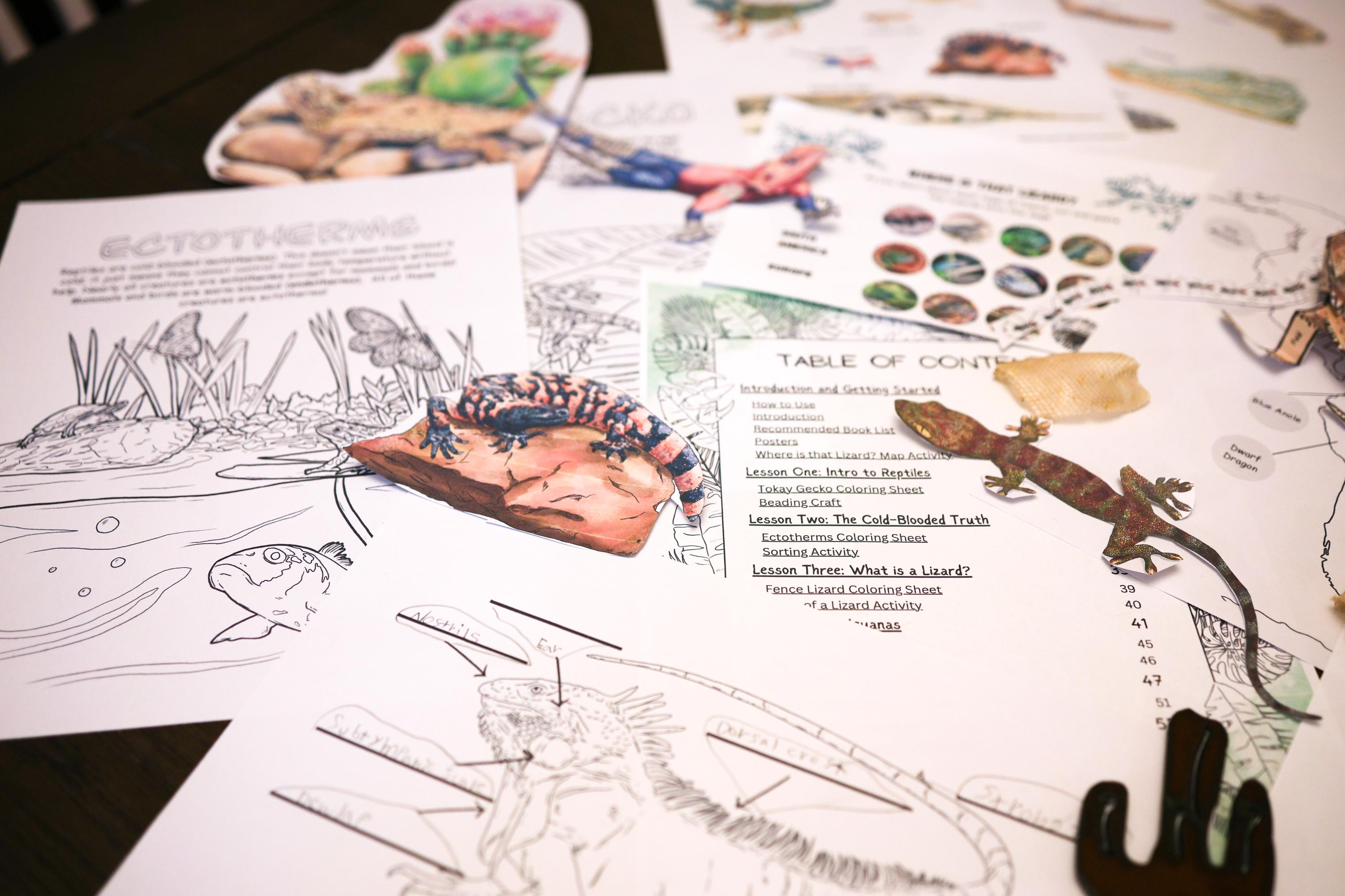 Lizards Unit Study: Heart Spark Homeschool - Etsy