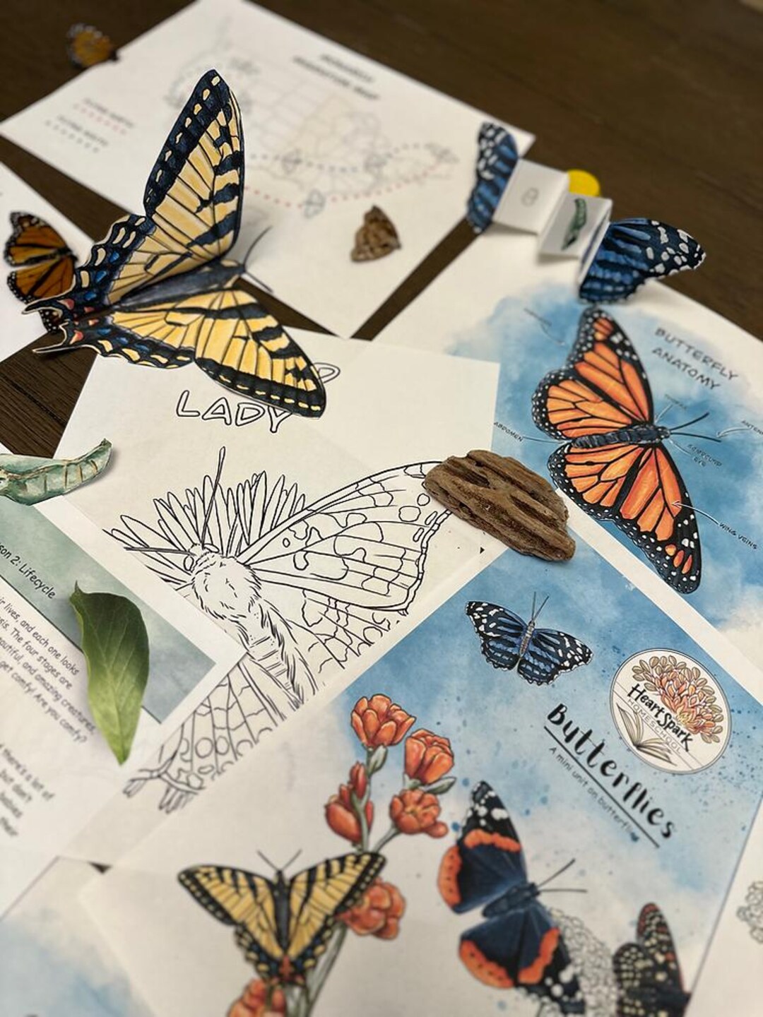 Butterflies Unit Study: Heart Spark Homeschool - Etsy