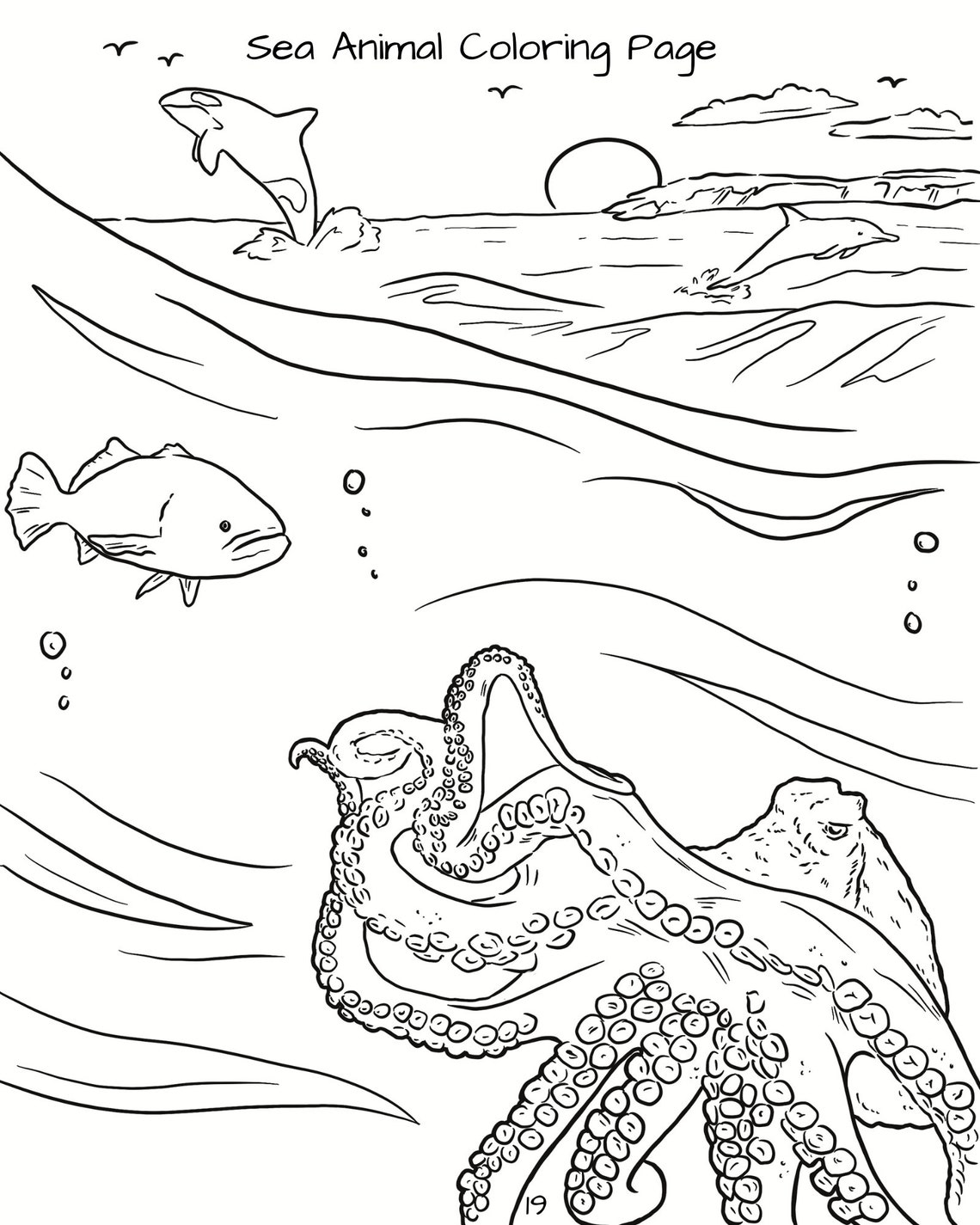 Island of the Blue Dolphins Book Companion Unit Study - Etsy