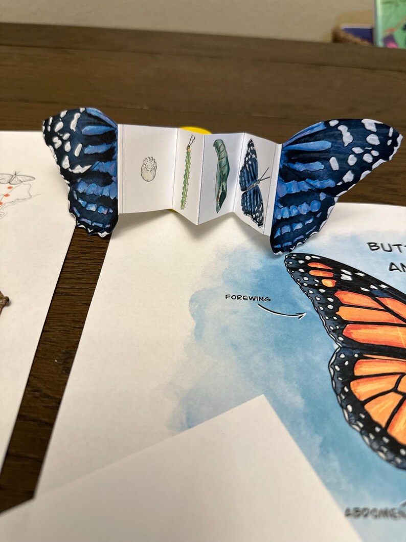 Butterflies Unit Study: Heart Spark Homeschool - Etsy