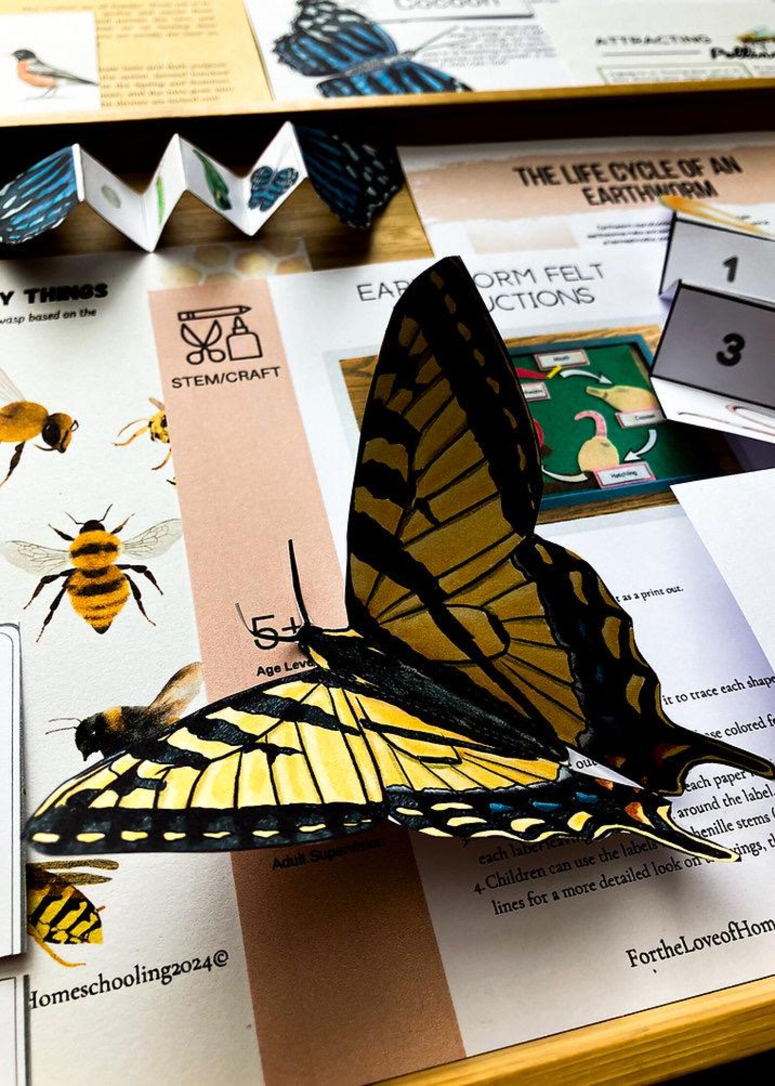 Butterflies Unit Study: Heart Spark Homeschool - Etsy
