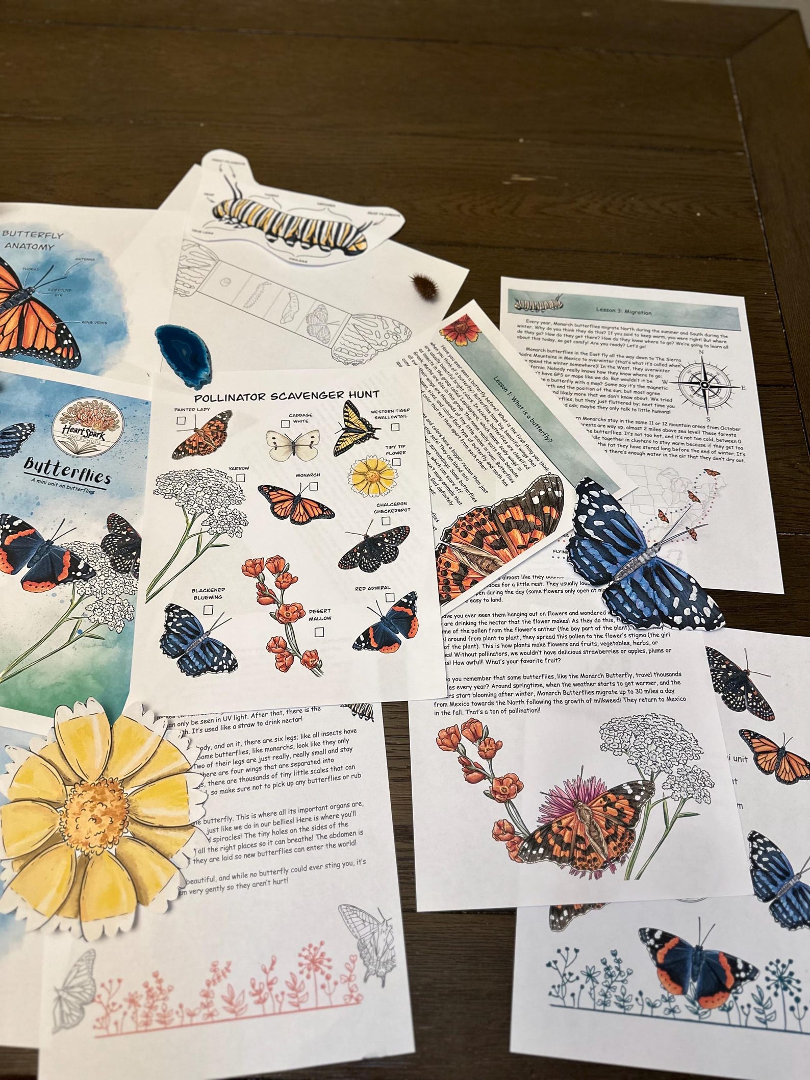 Butterflies Unit Study: Heart Spark Homeschool - Etsy