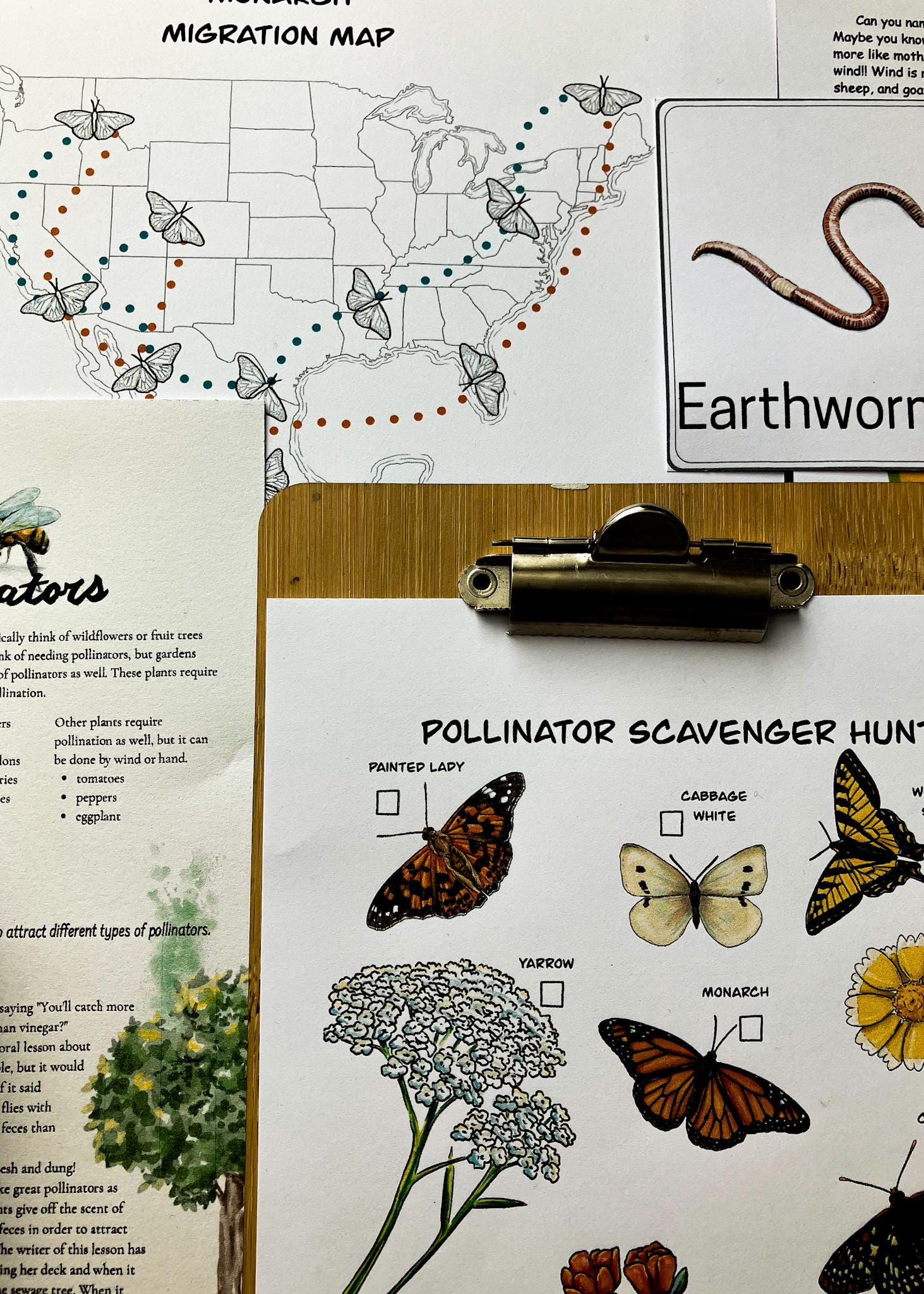 Butterflies Unit Study: Heart Spark Homeschool - Etsy