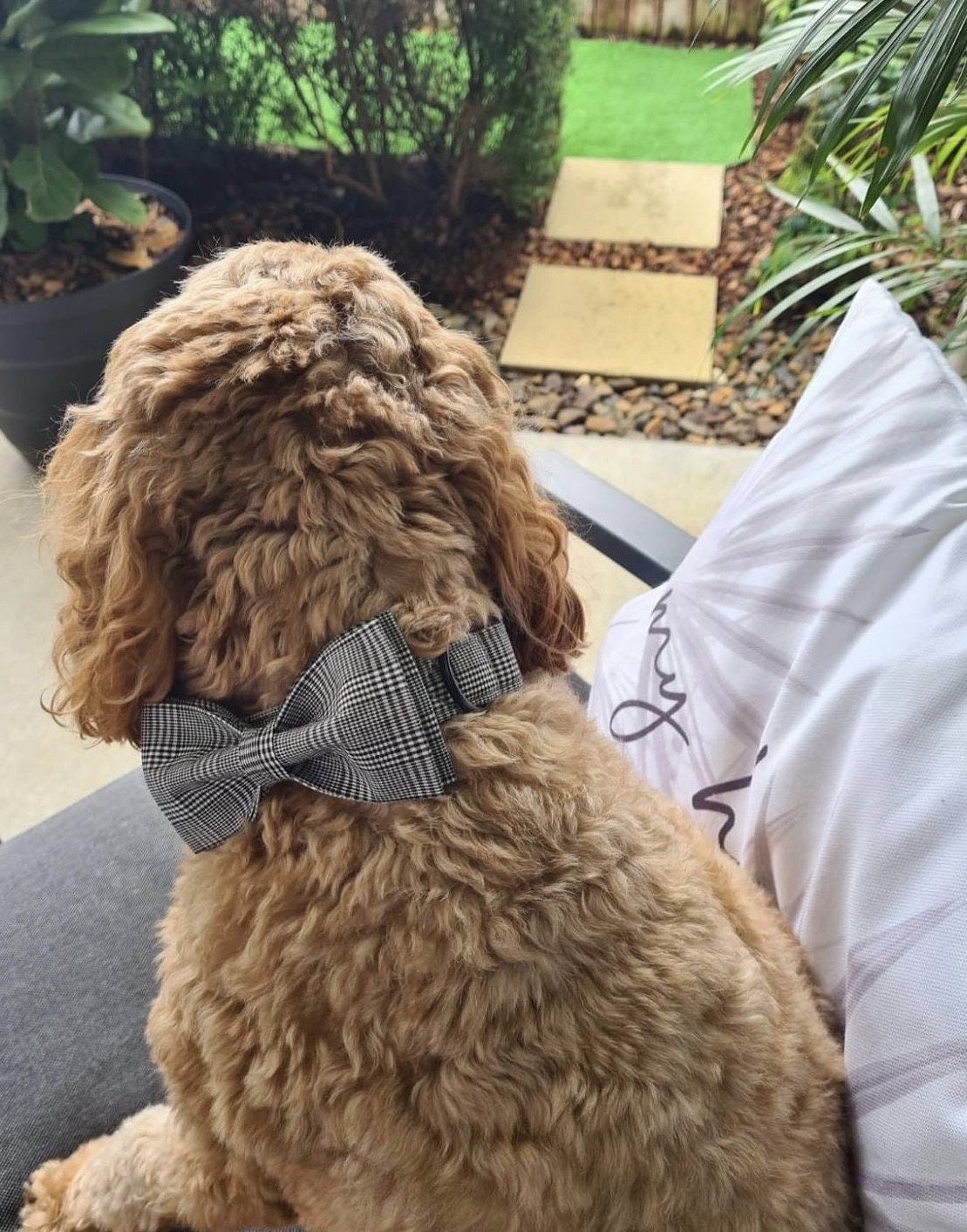 The Arthur Bow, Classic Black and White Checked Bow Tie, to Match Every ...