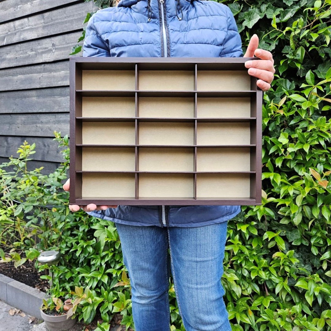 Wall Display Box Wood With Protective Beige Plush on the Back Wall ...