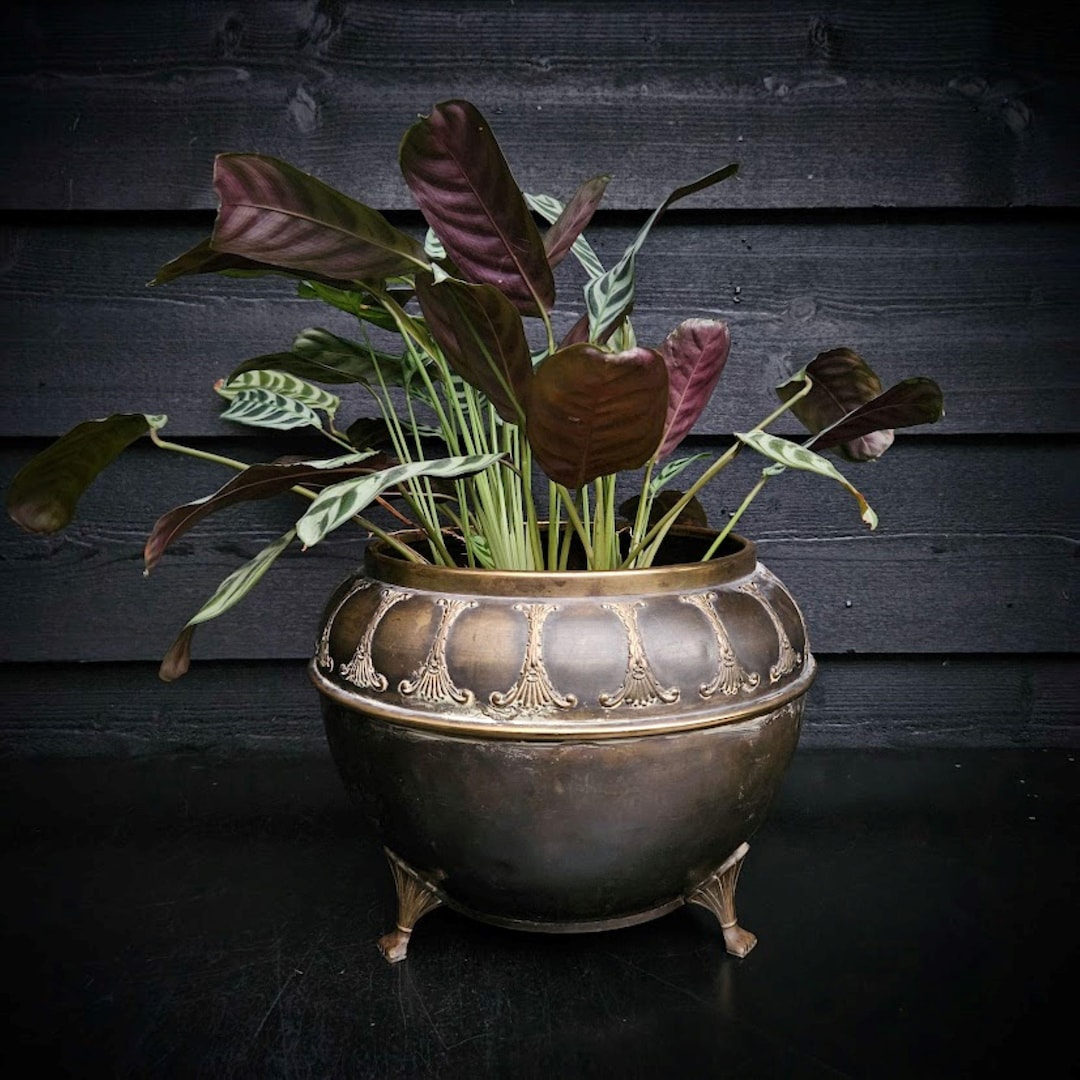 Large Art Deco Planter Brass 8.25" Diam, Footed Planter Indoor, Cache ...