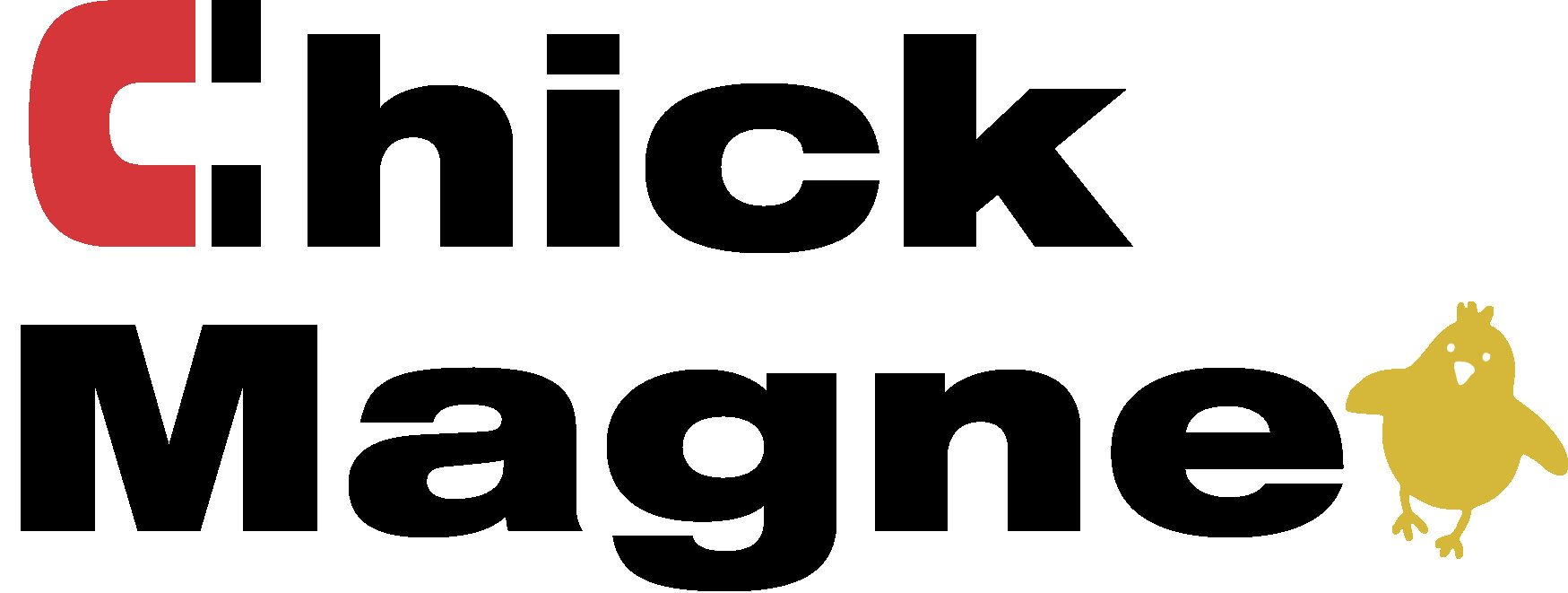 Chick Magnet Funny Tee Mens T-shirt Novelty Easter Tshirt Shirt Holiday ...