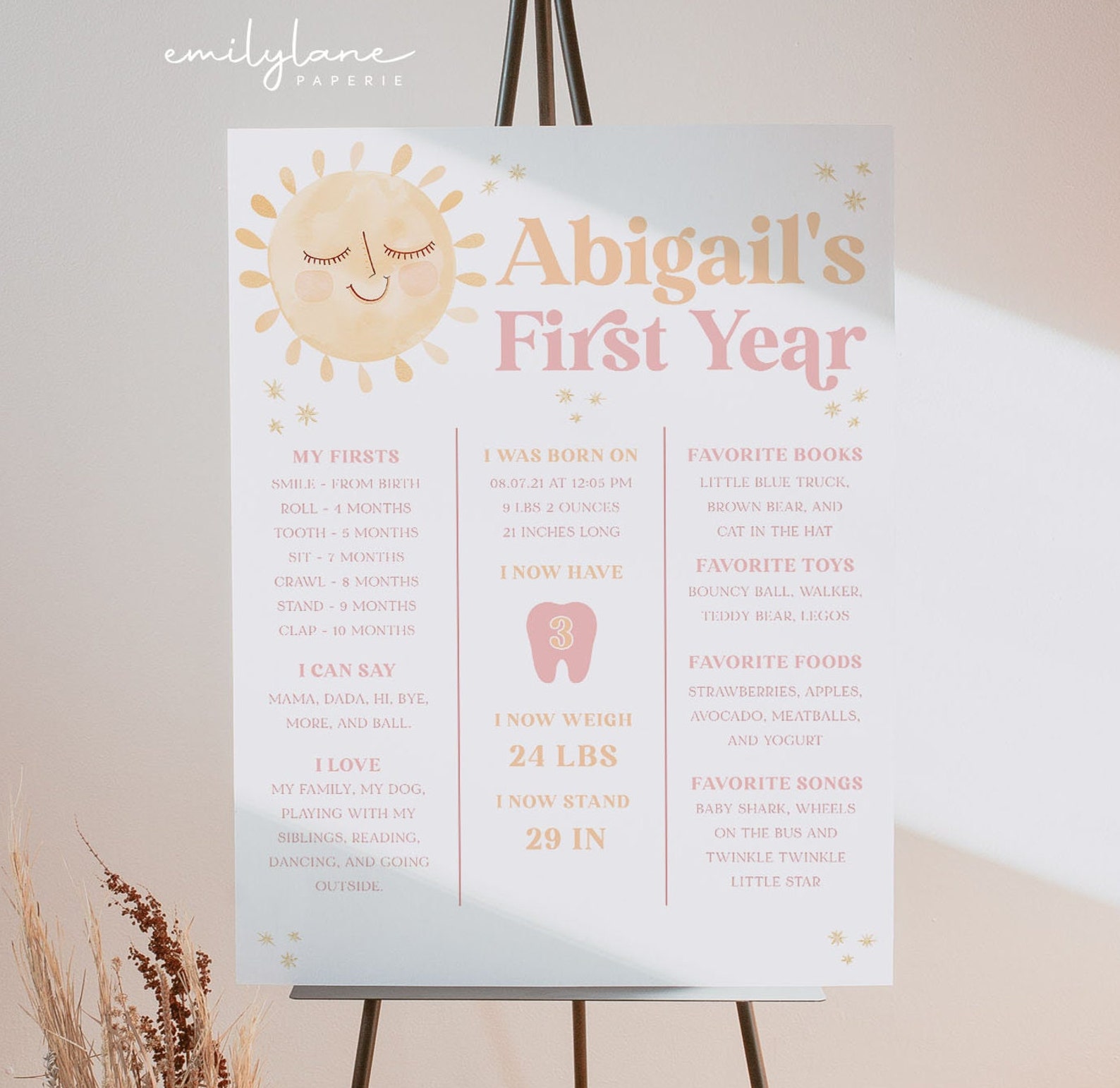 Sun 1st Birthday Milestone Sign, One Happy Girl Milestone Board, 1st ...