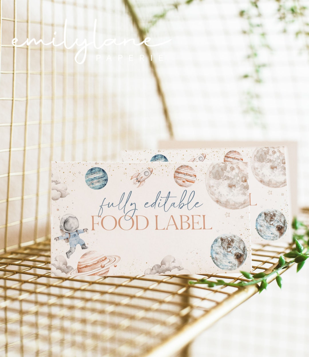 Space Food Labels, Outer Space Food Label Card, Fist Trip Around the ...