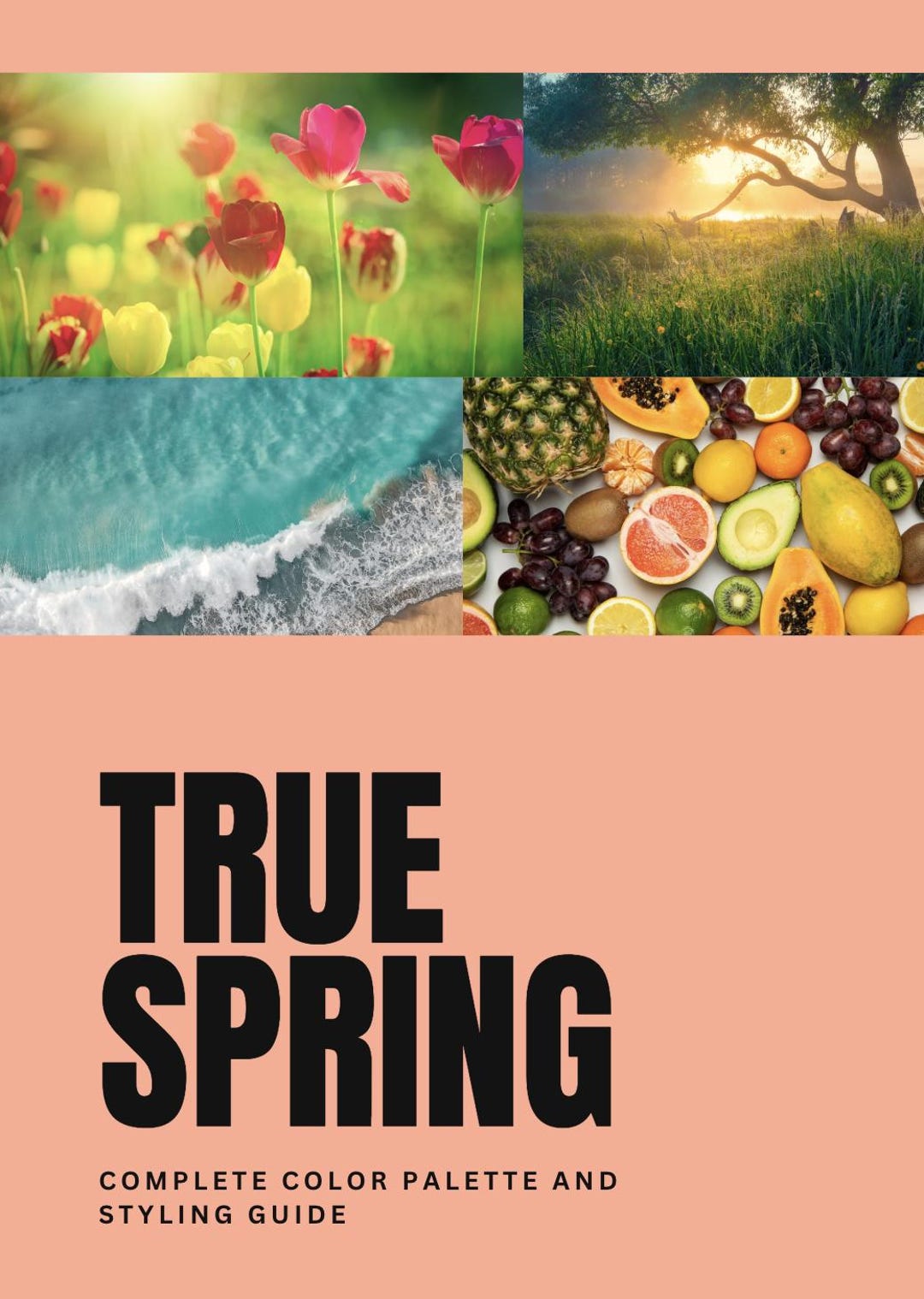 True Spring Color Season Guide | Digital PDF Download | Wardrobe ...