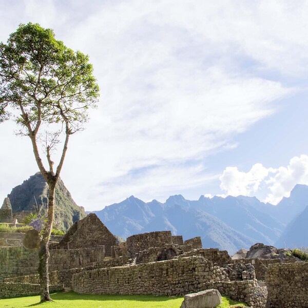 Machu Picchu - Etsy