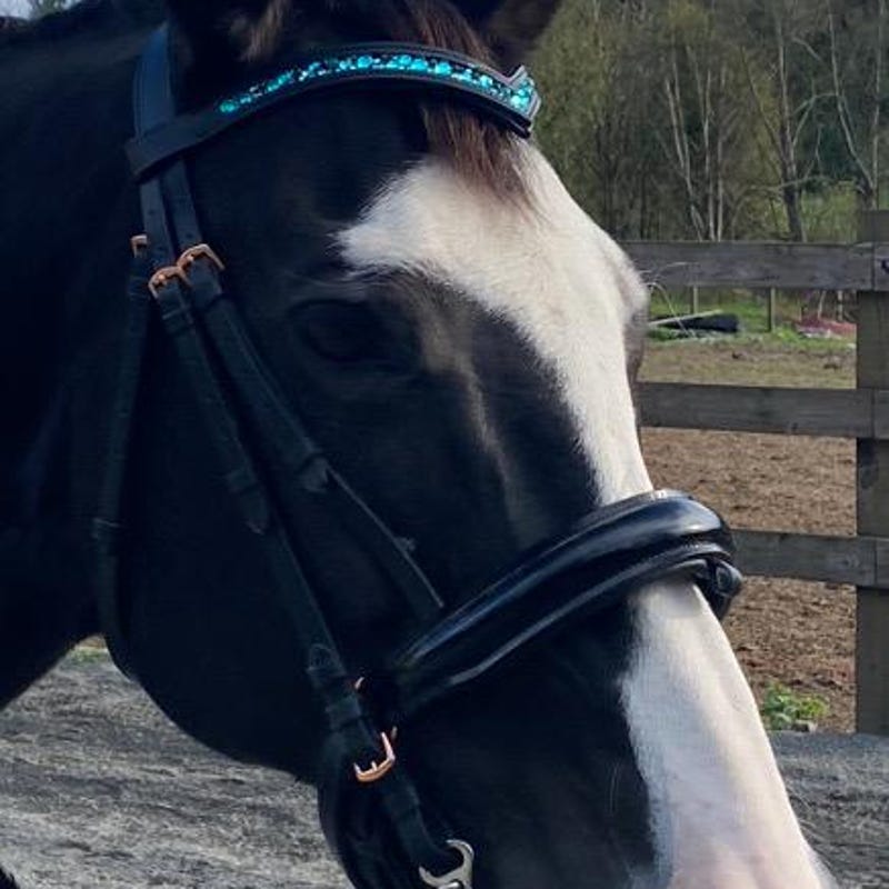 Browbands for Horses - Etsy