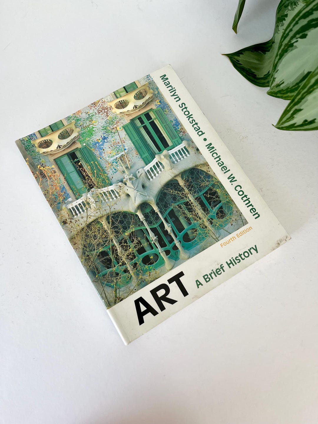 Art A Brief History Softcover Textbook - Etsy
