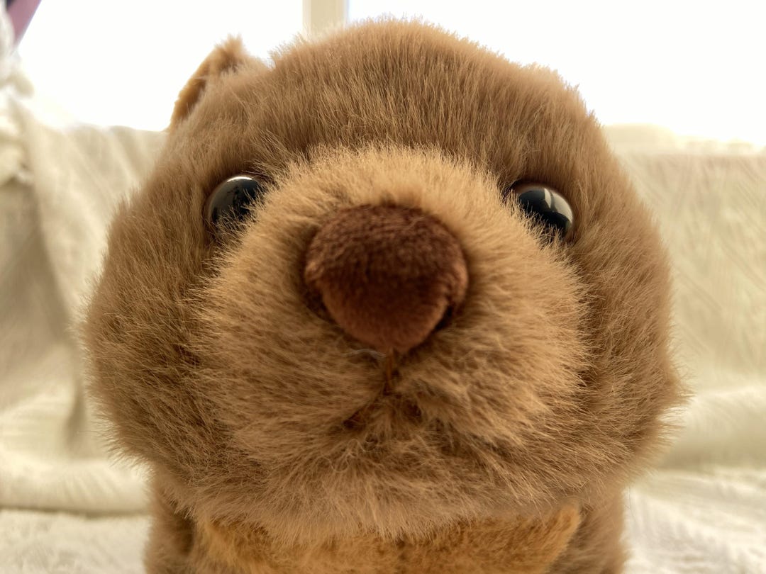 Kawaii Comfort Wombat Stuffed Animal Plush Pillow,emotional Support ...