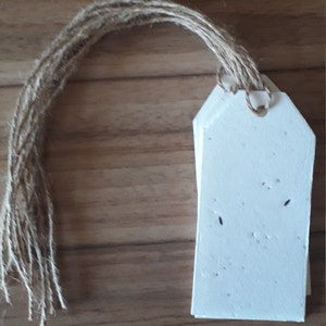 Plantable Wildflower Seed Paper Gift Tags Plain - Sustainable ...