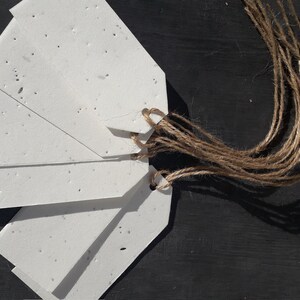 Plantable Wildflower Seed Paper Gift Tags Plain - Sustainable ...