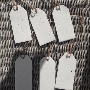 Plantable Wildflower Seed Paper Gift Tags Plain - Sustainable ...