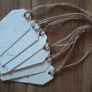 Plantable Wildflower Seed Paper Gift Tags Plain - Sustainable ...