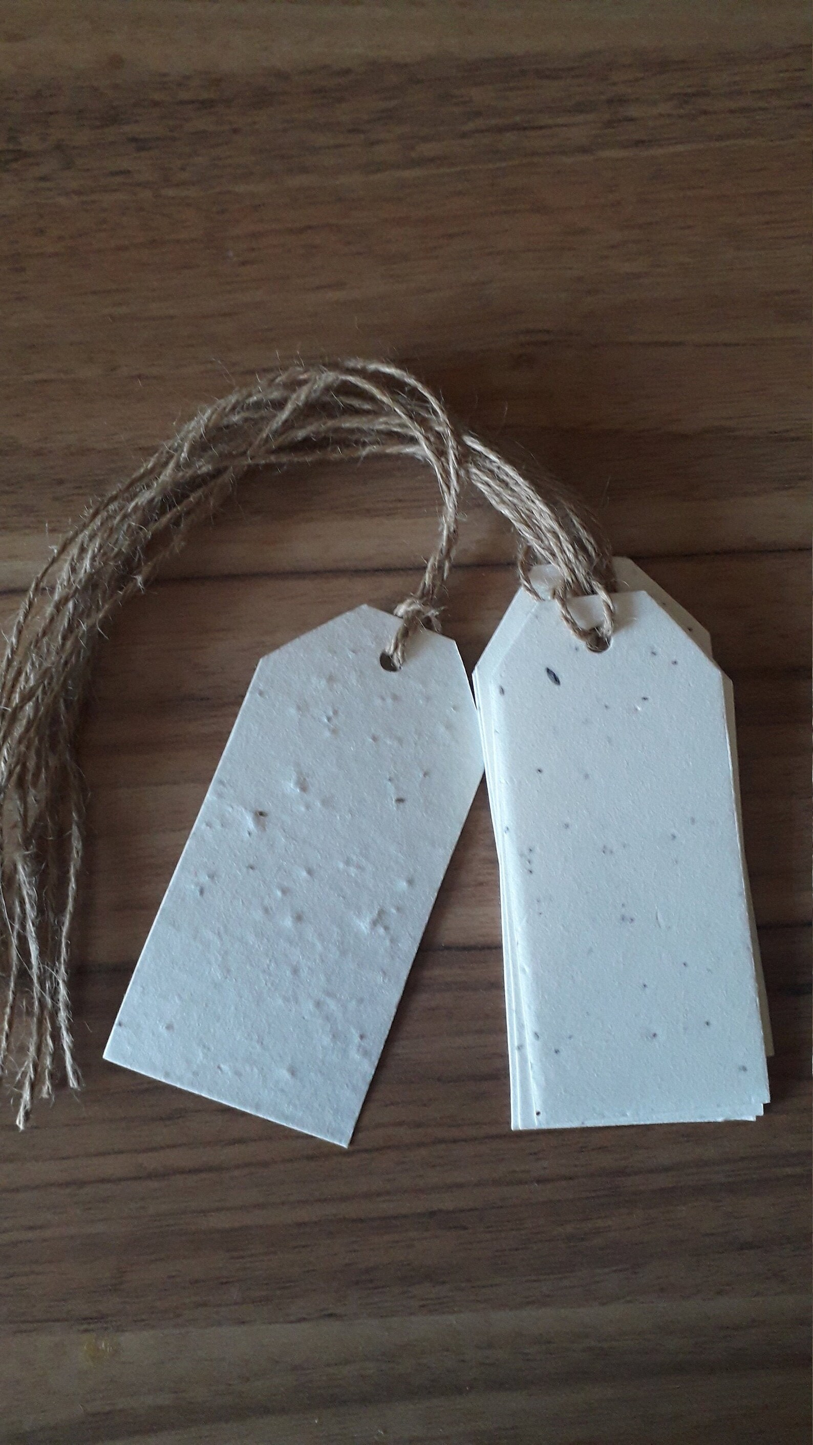 Plantable Wildflower Seed Paper Gift Tags Plain - Sustainable ...