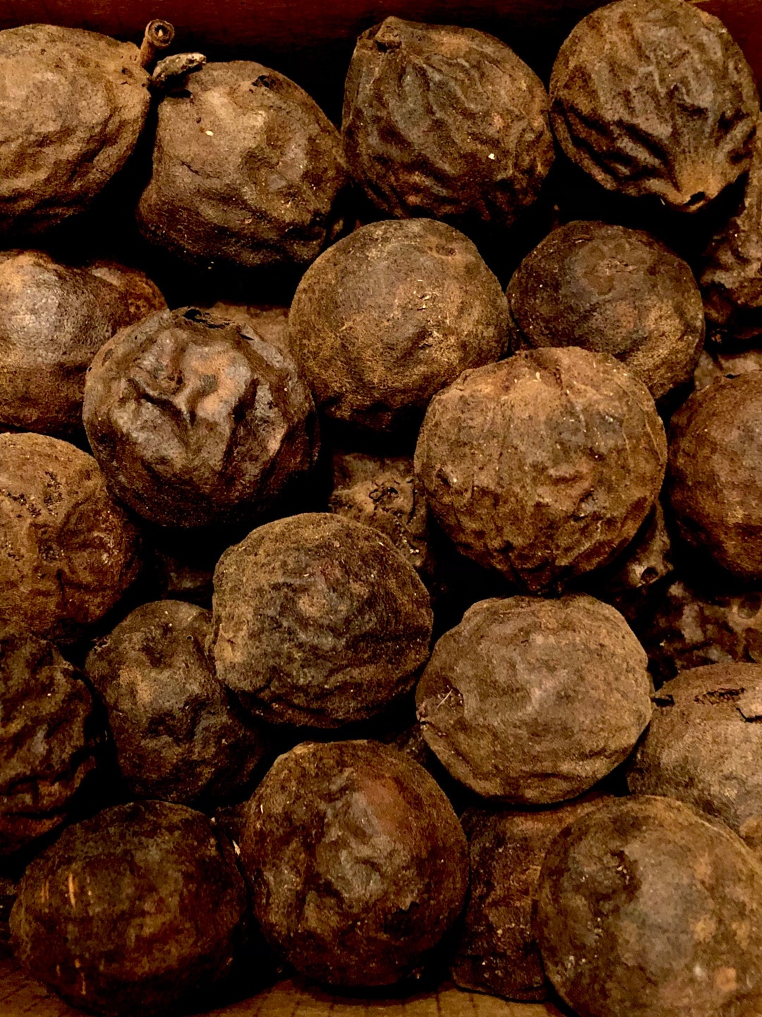 BLACK WALNUTS in HULLS- Raw, Natural, & Organically Grown - Etsy