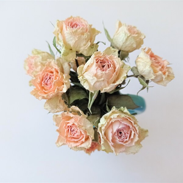 Dried Flowers With Stems - Etsy