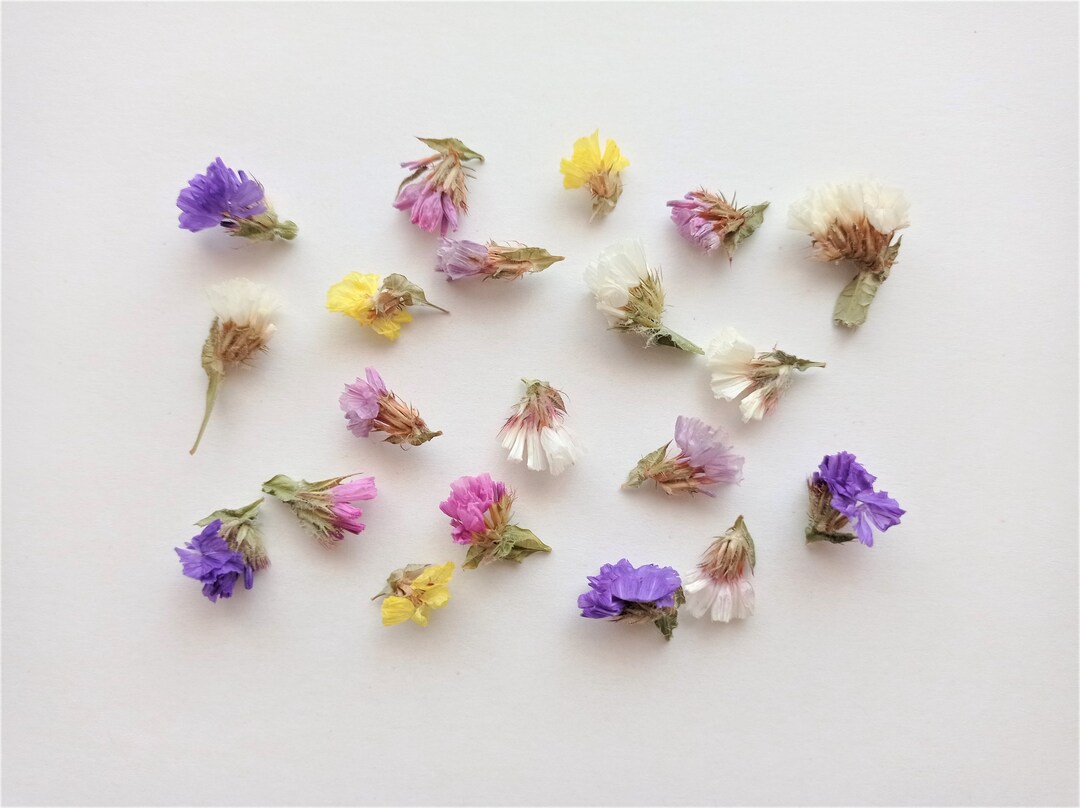 20 Mini Dried Statice Flowers: Multicolor Resin Art Supplies - Etsy