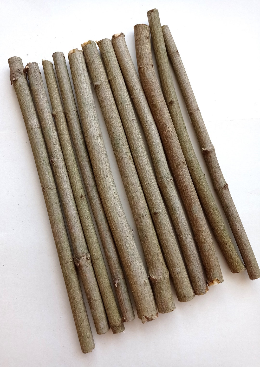 Maple Stick 12", Dried Maple Branch, Wood Supply for Wand Making ...