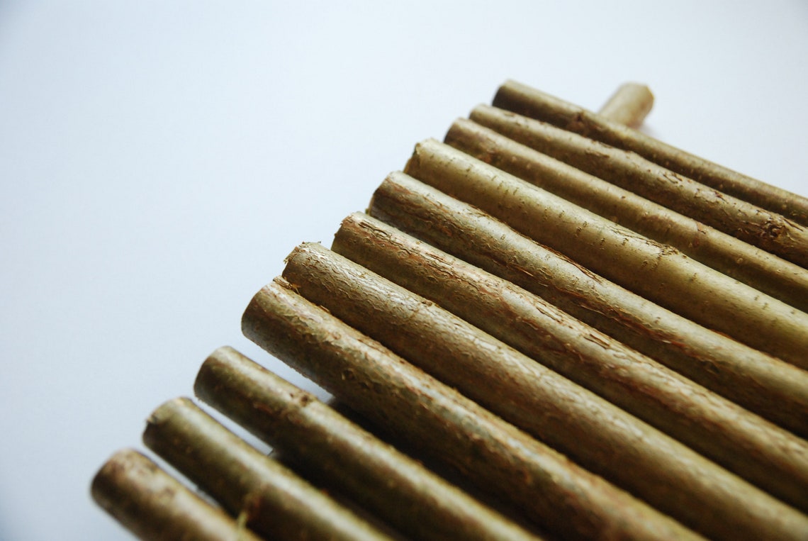 Natural Hazel Wood Branch, Wand Making Supply, Craft Decor (12'') - Etsy