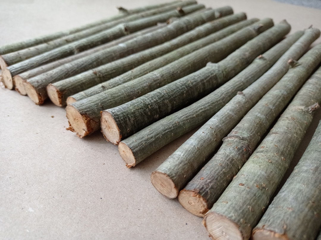 Rowan Stick 12", One Mountain Ash Stick, Wood Craft Supply for Wand ...