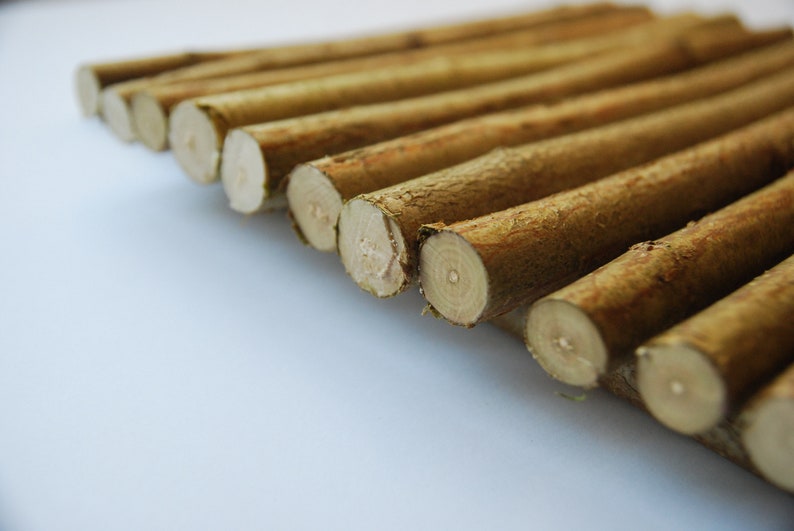 Natural Hazel Wood Branch, Wand Making Supply, Craft Decor (12'') - Etsy